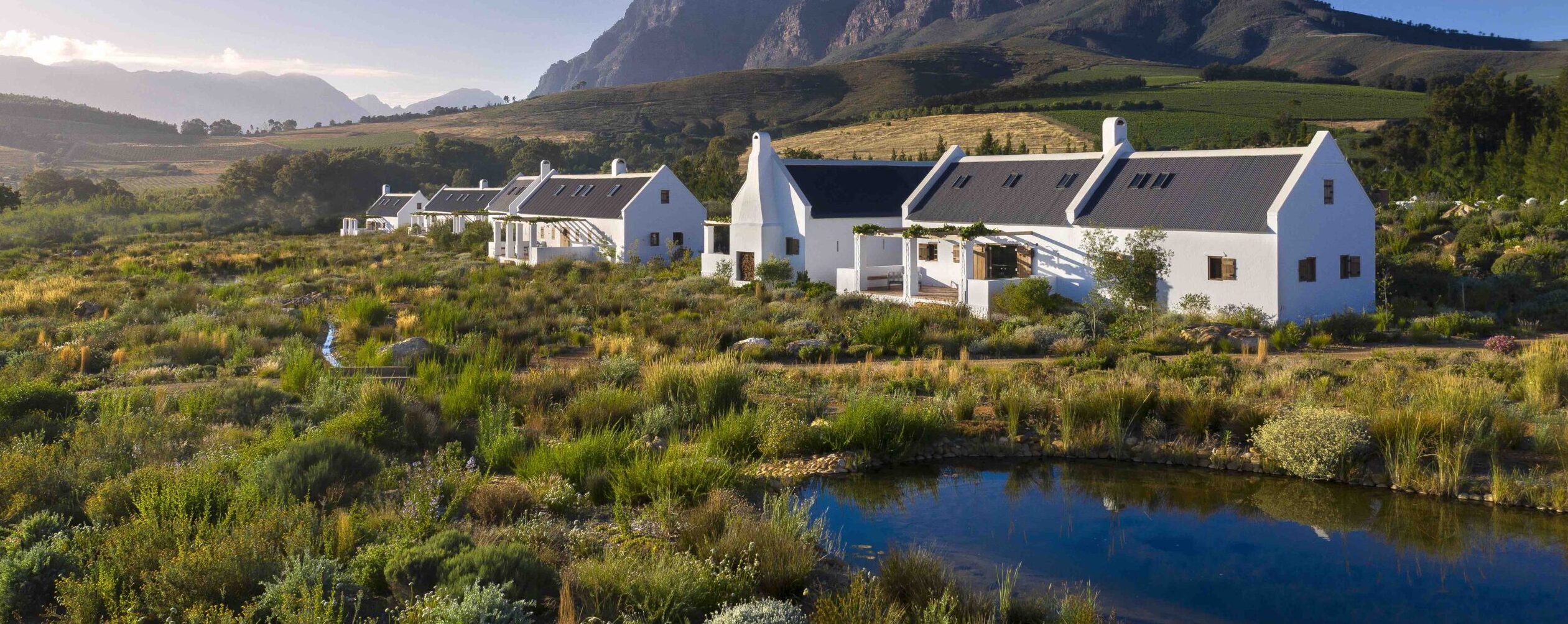 Babylonstoren Wine Estate | Franschhoek South Africa | F&P Travel