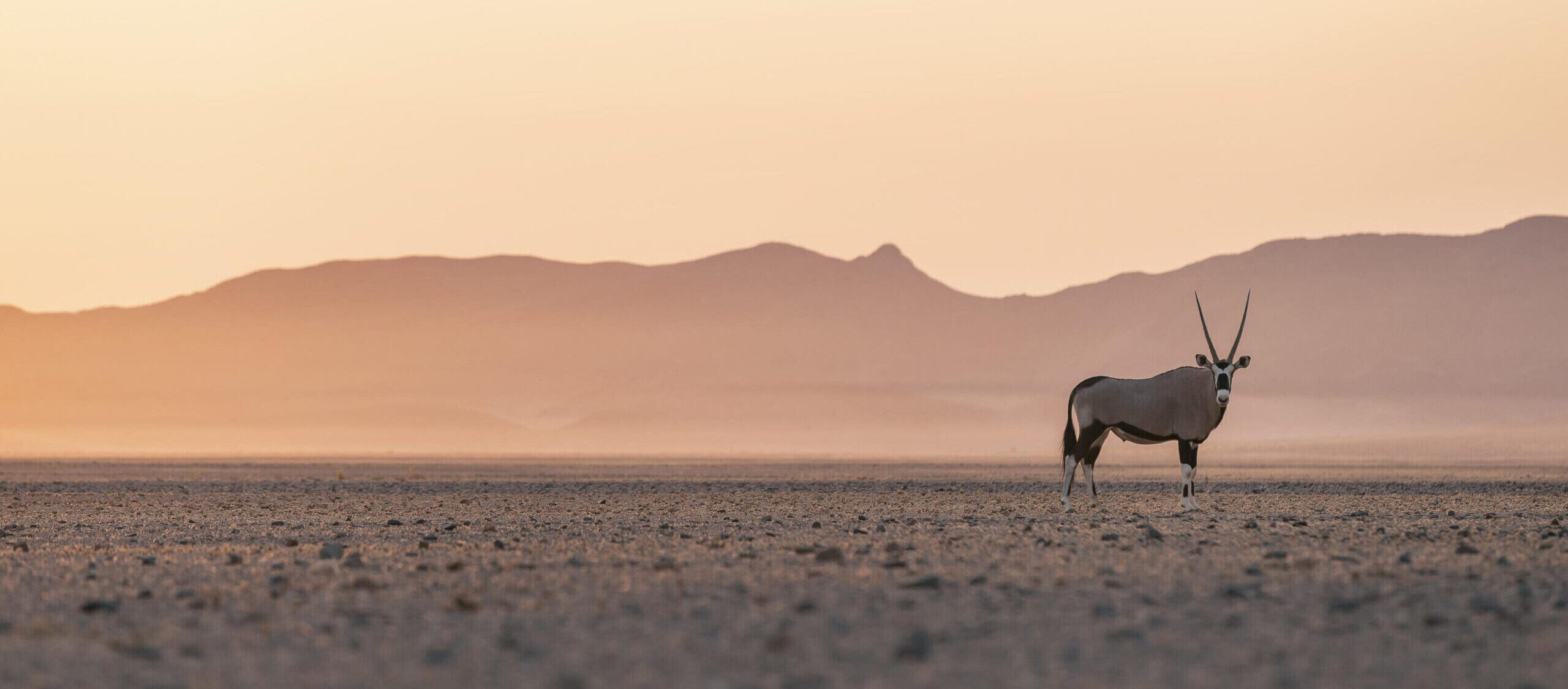 Namibia - F&P Travel - The luxury travel experts