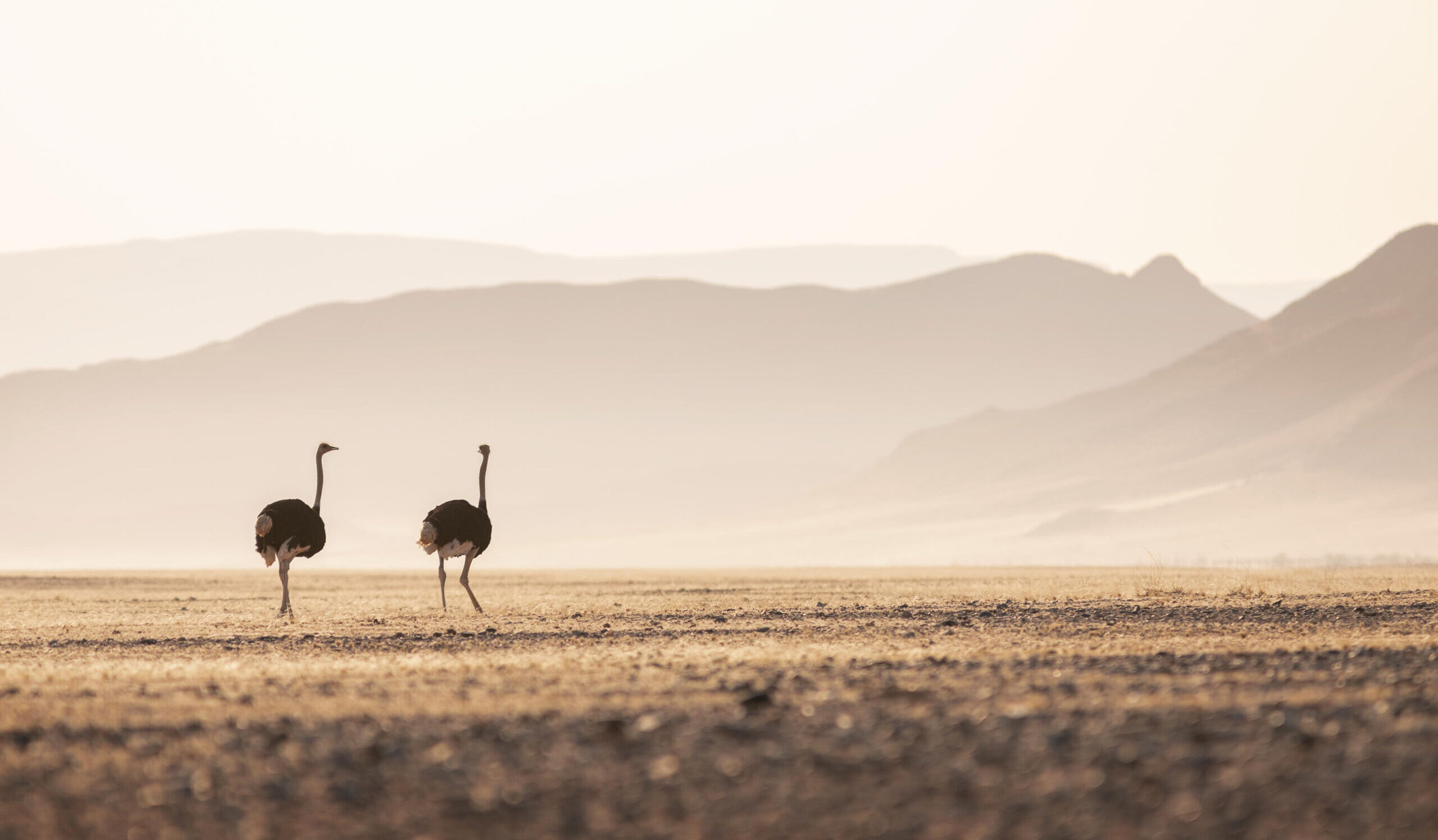 Why Visit Namibia? - F&P Travel - The luxury travel experts