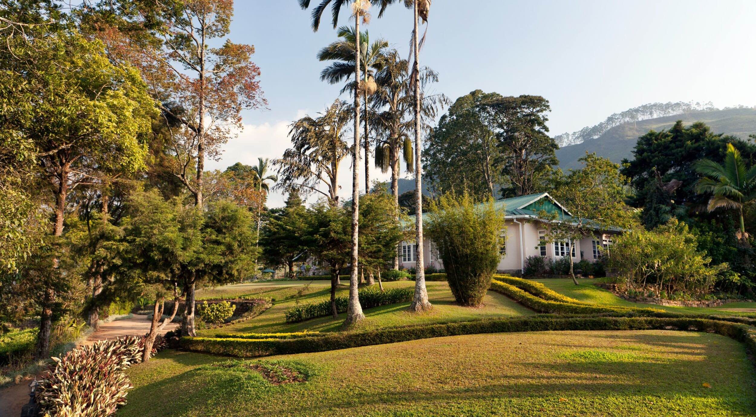 Ceylon Tea Trails - Sri Lanka - F&P Travel - The luxury travel experts