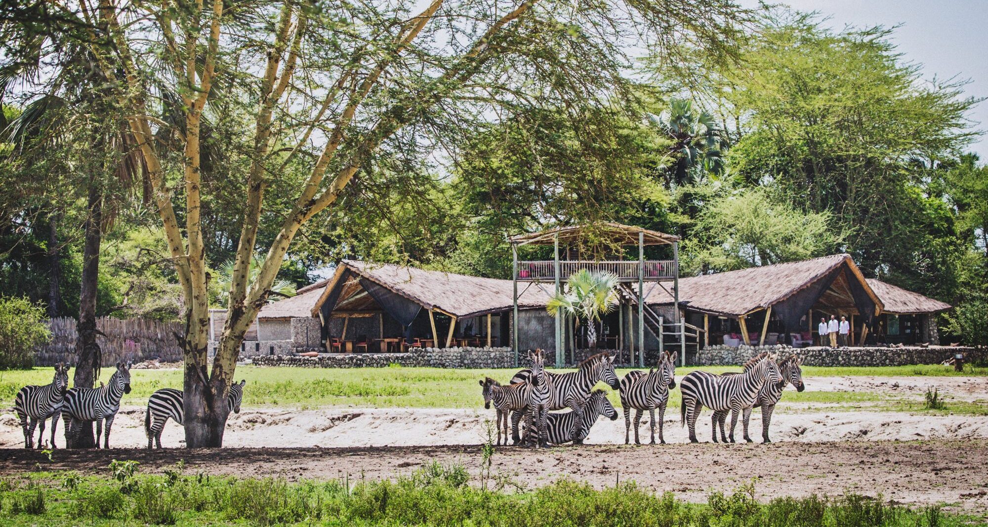 Chem Chem Safari - Tanzania - F&P Travel - The luxury travel experts